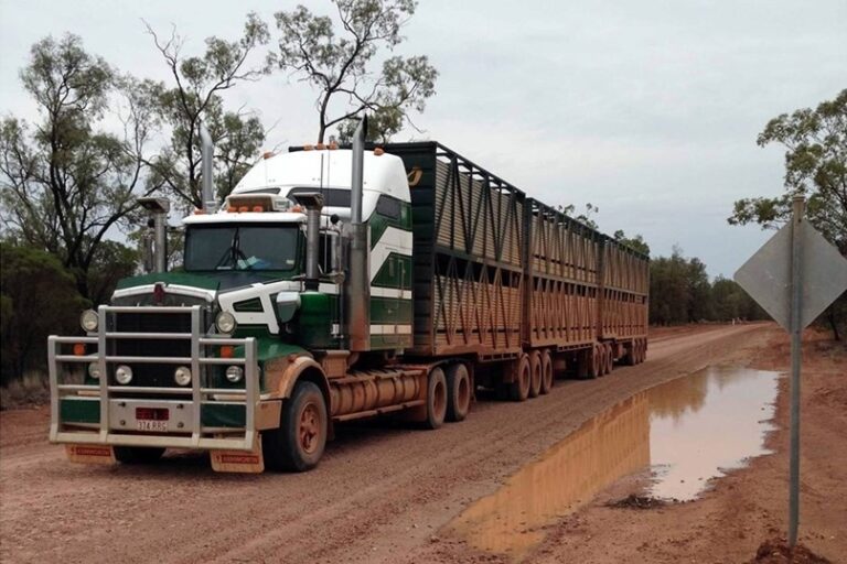 Perth prepares for delays during Keep the Sheep election campaign convoy