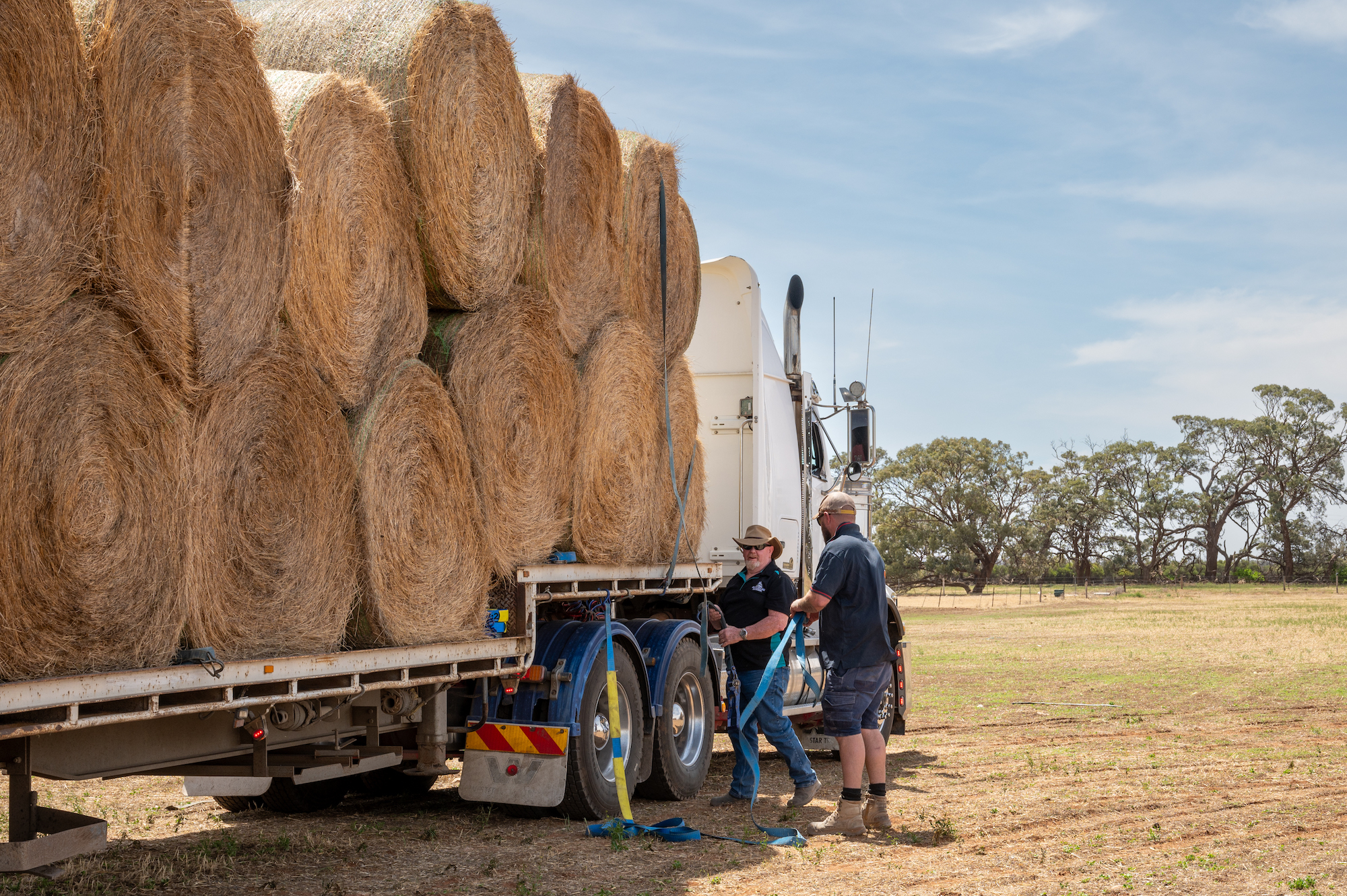 Aussie Hay Runners prepares 106 truck convoy back to South Australia