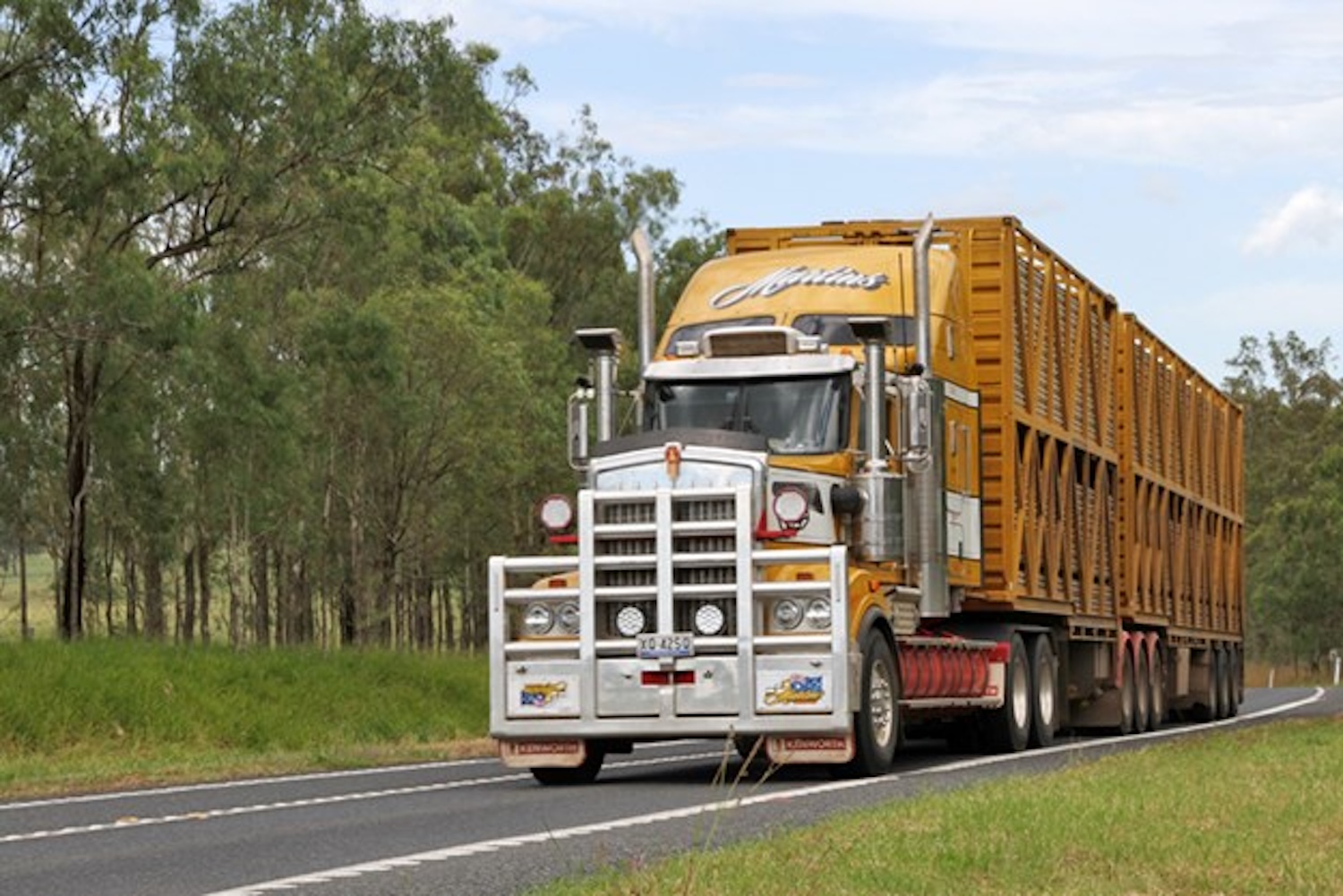 Martins Stock Haulage announces livestock carrier acquisition