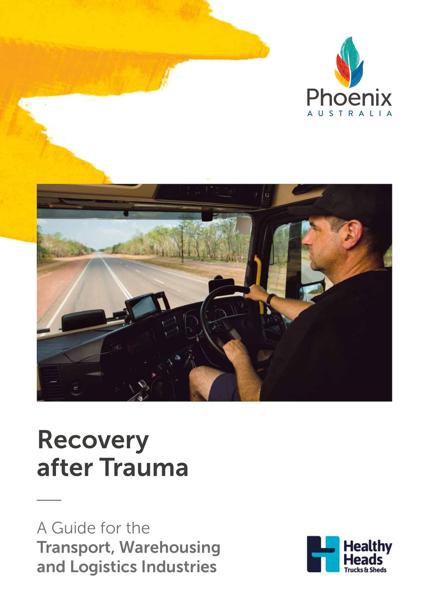 Healthy Heads announces new partnership to tackle transport trauma